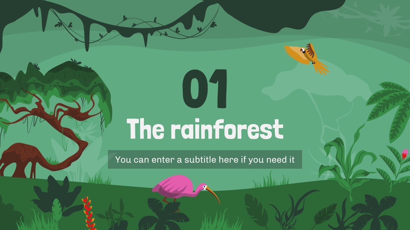 Biology Subject for Elementary: Tropical Rainforest Wildlife