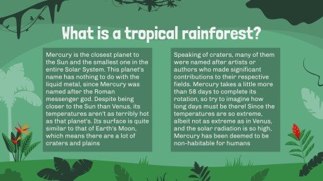 Biology Subject for Elementary: Tropical Rainforest Wildlife