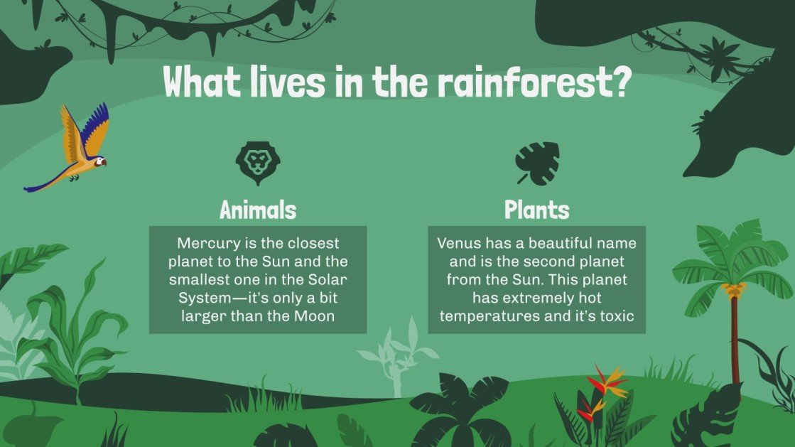 Biology Subject for Elementary: Tropical Rainforest Wildlife