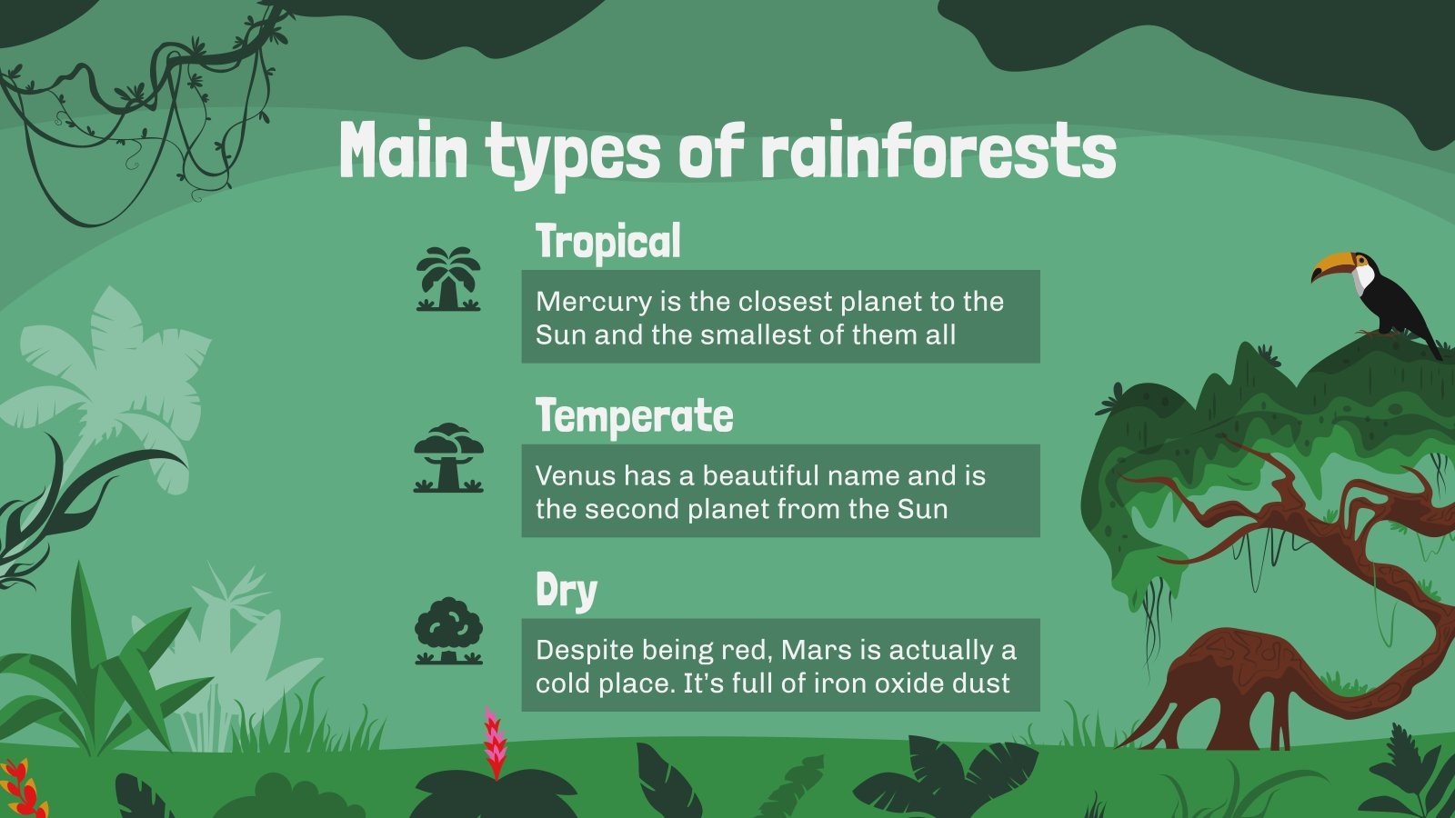 Biology Subject for Elementary: Tropical Rainforest Wildlife