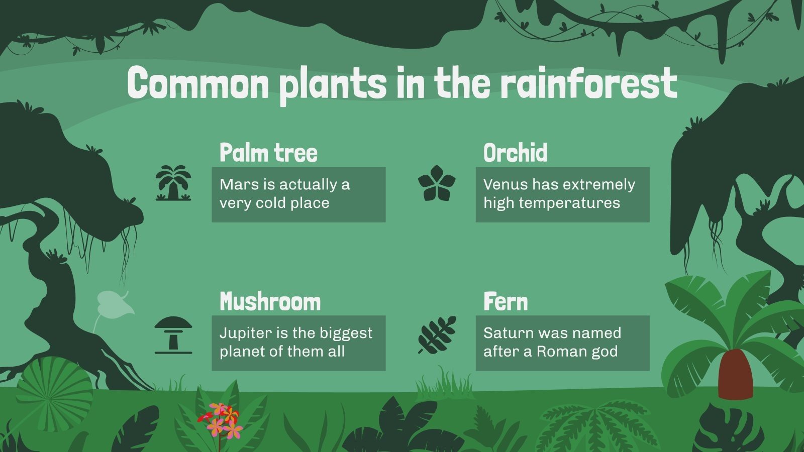 Biology Subject for Elementary: Tropical Rainforest Wildlife