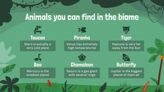 Biology Subject for Elementary: Tropical Rainforest Wildlife