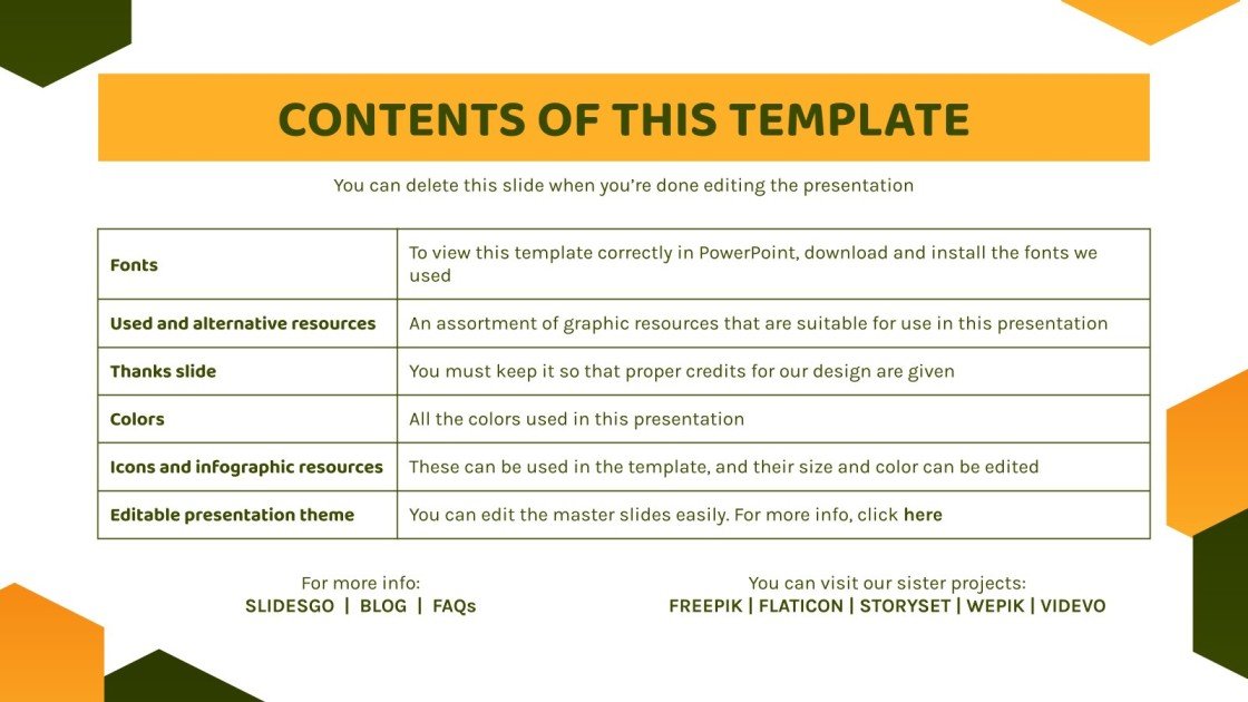 Solar Panels Implementation Project Proposal | Google Slides