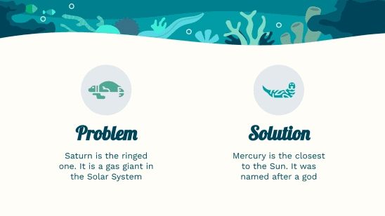 Save the Seals Day Google Slides theme & PowerPoint template