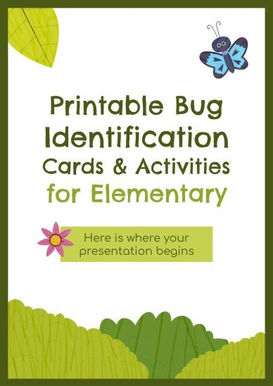 Printable Bug Identification Cards & Activities | Google Slides