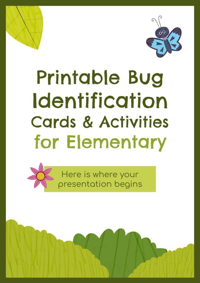Printable Bug Identification Cards & Activities | Google Slides