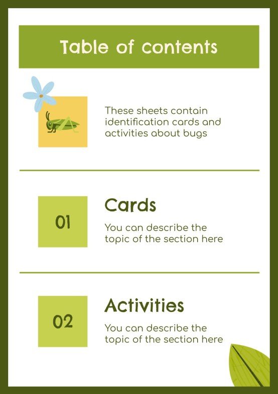 Printable Bug Identification Cards & Activities | Google Slides