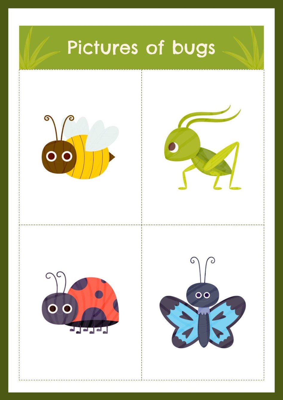 Printable Bug Identification Cards & Activities | Google Slides