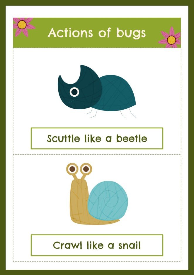 Printable Bug Identification Cards & Activities | Google Slides
