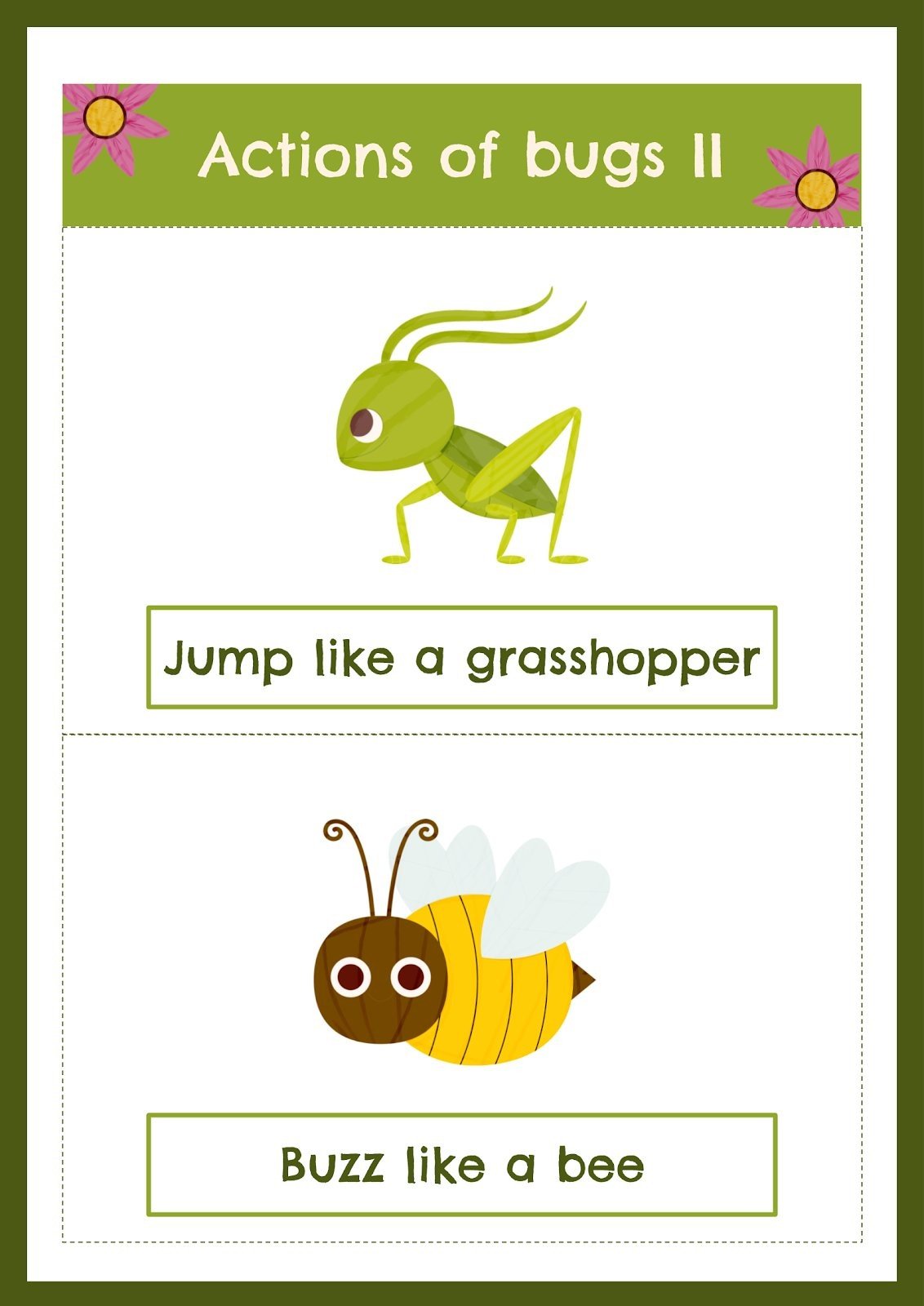 Printable Bug Identification Cards & Activities | Google Slides