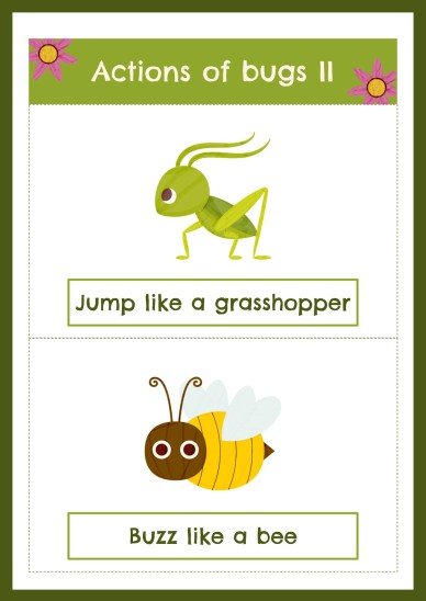 Printable Bug Identification Cards & Activities | Google Slides