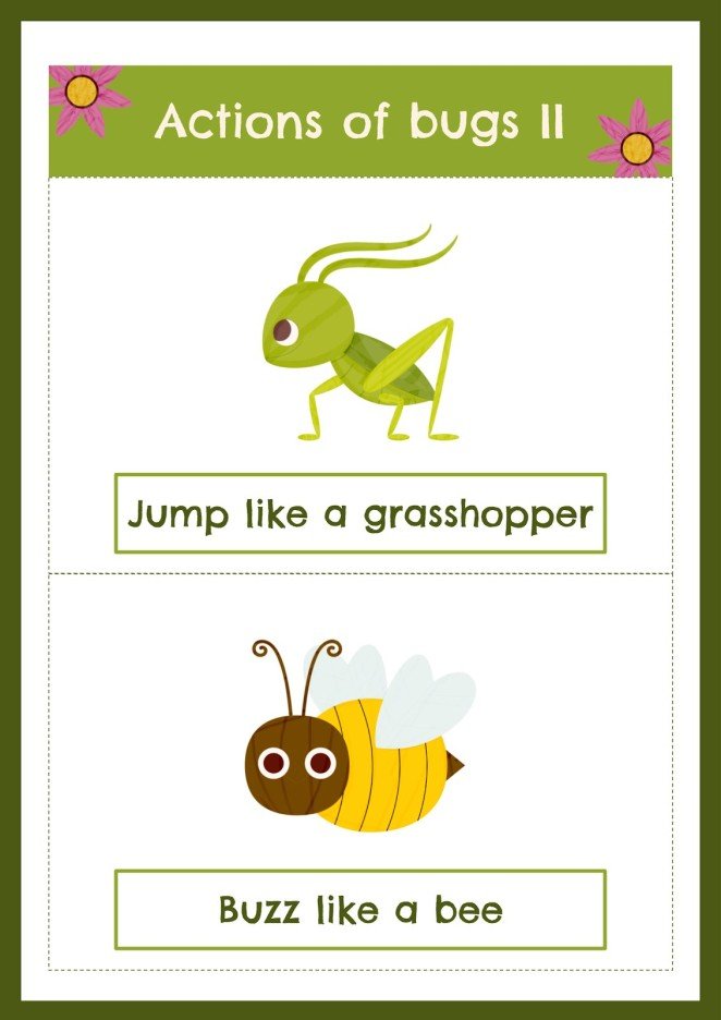 Printable Bug Identification Cards & Activities | Google Slides