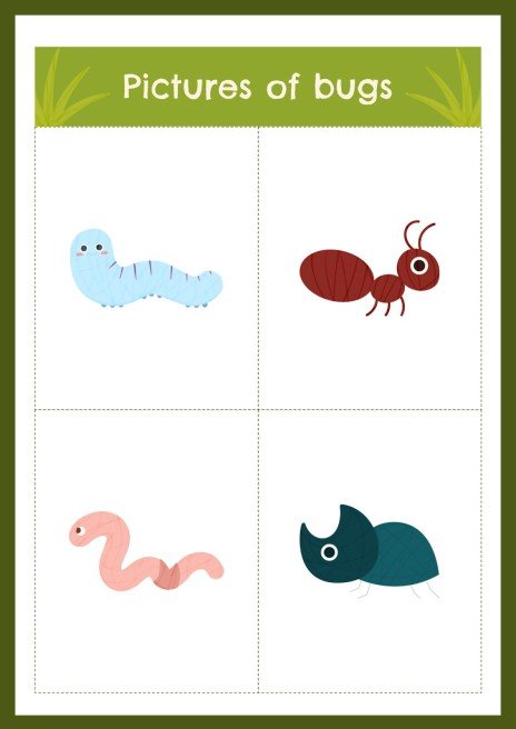 Tarjetas y actividades imprimibles sobre insectos para primaria