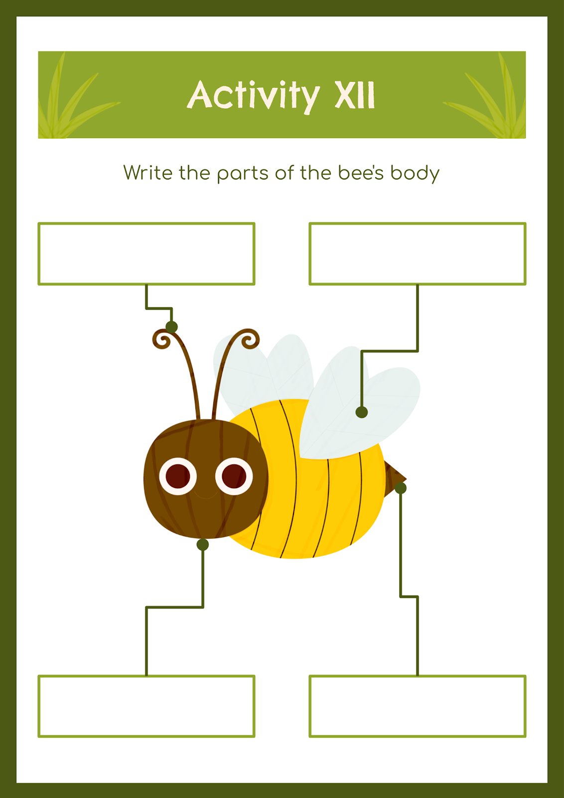 Printable Bug Identification Cards & Activities | Google Slides