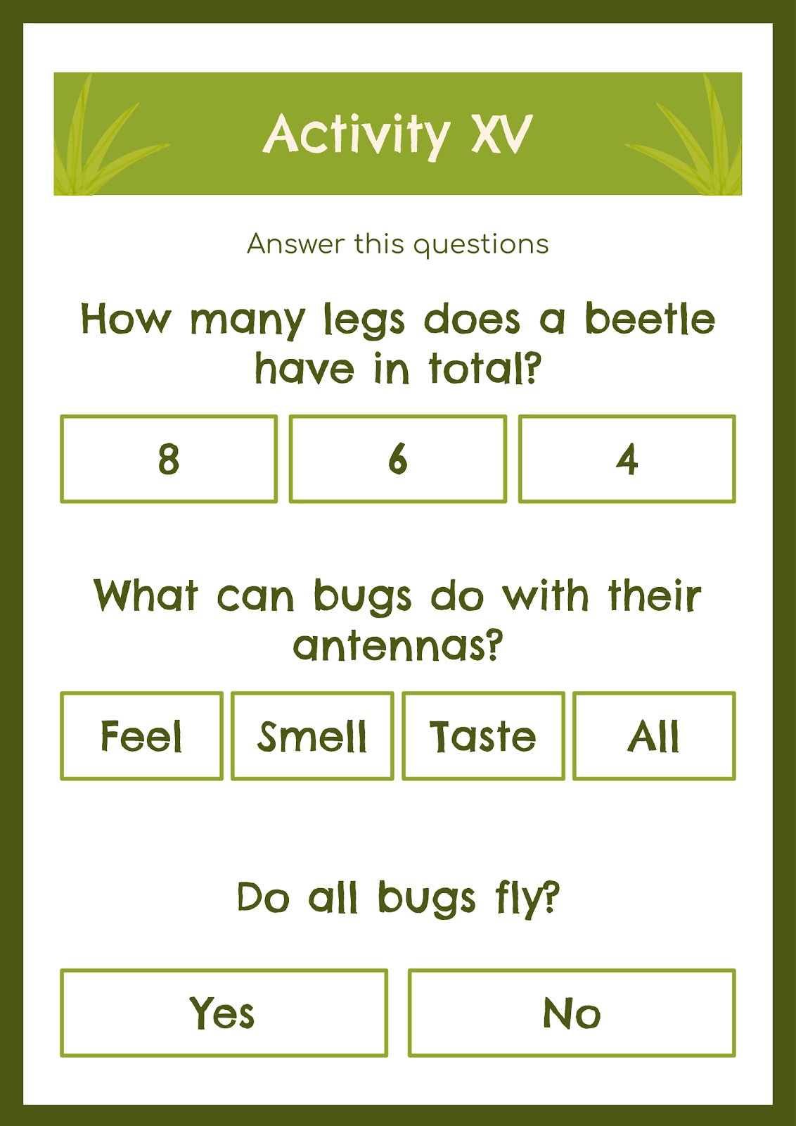 Printable Bug Identification Cards & Activities | Google Slides