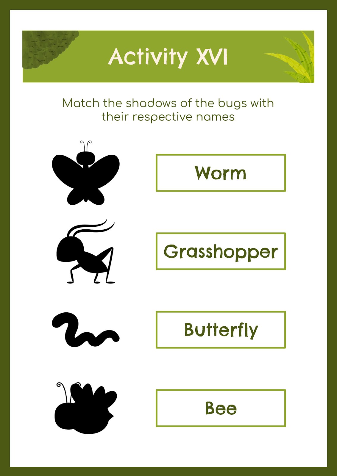 Printable Bug Identification Cards & Activities | Google Slides