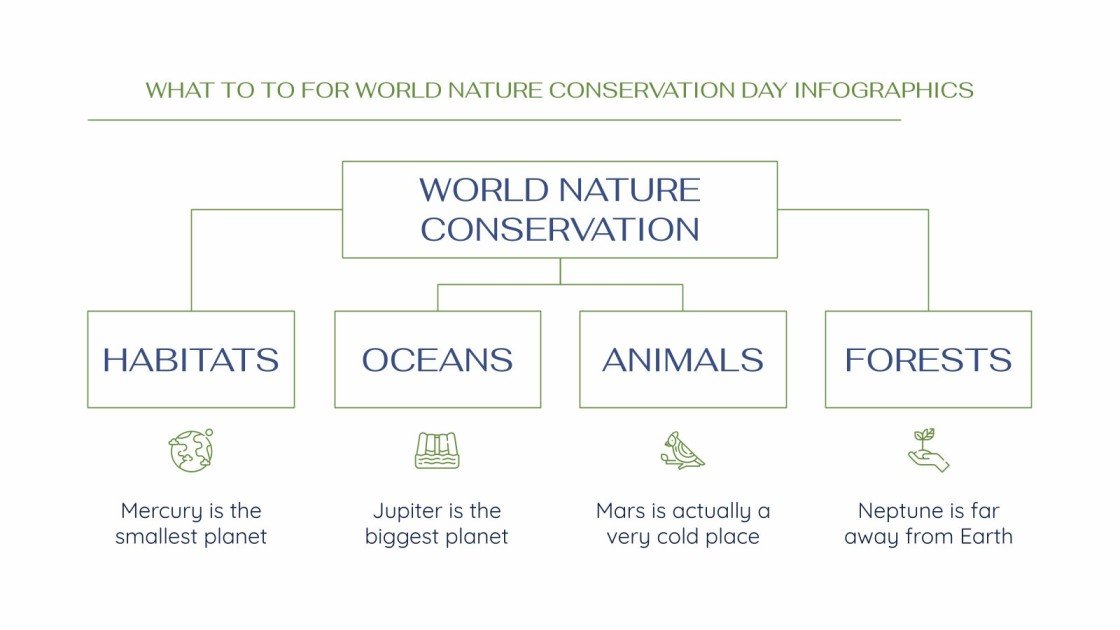 What To Do For World Nature Conservation Day Infographics