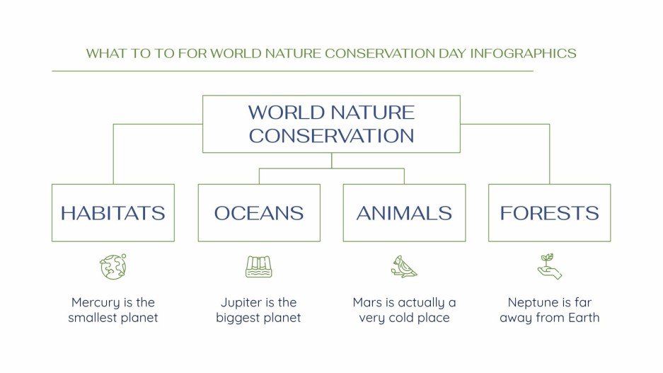 What To Do For World Nature Conservation Day Infographics