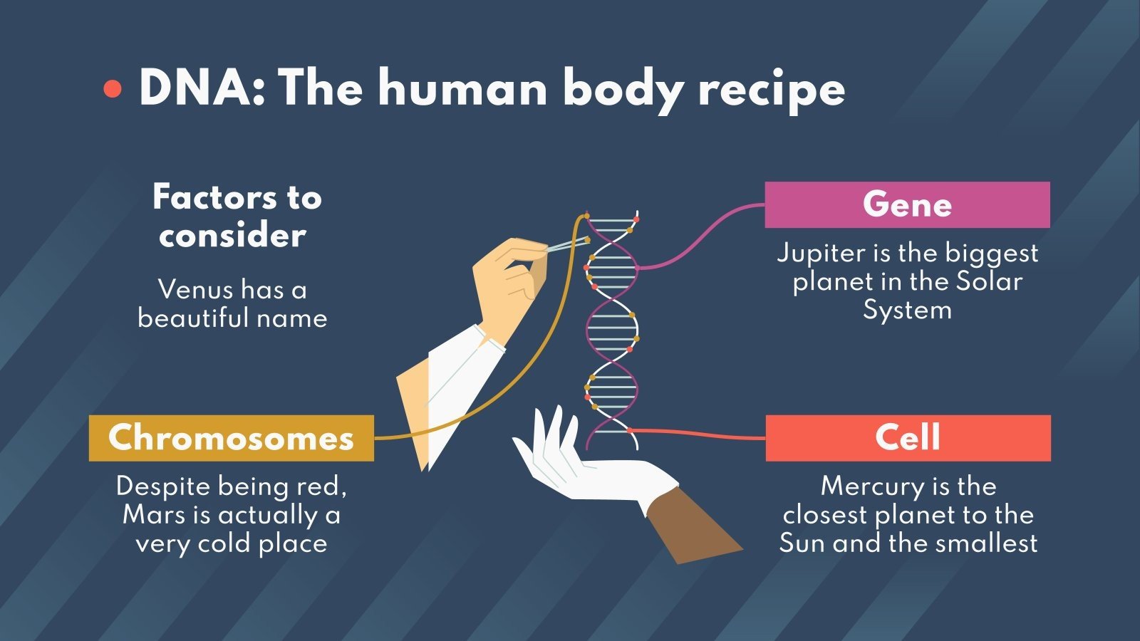 DNA: The Human Body Recipe Infographics | Google Slides