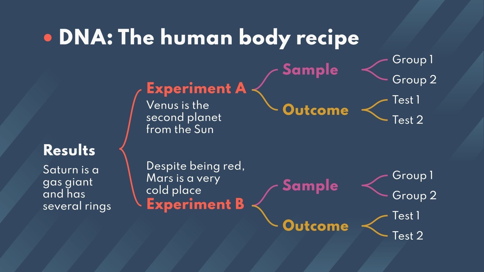 DNA: The Human Body Recipe Infographics | Google Slides