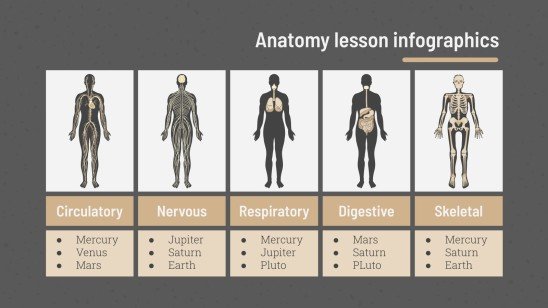 Anatomy Lesson Infographics | Google Slides & PowerPoint