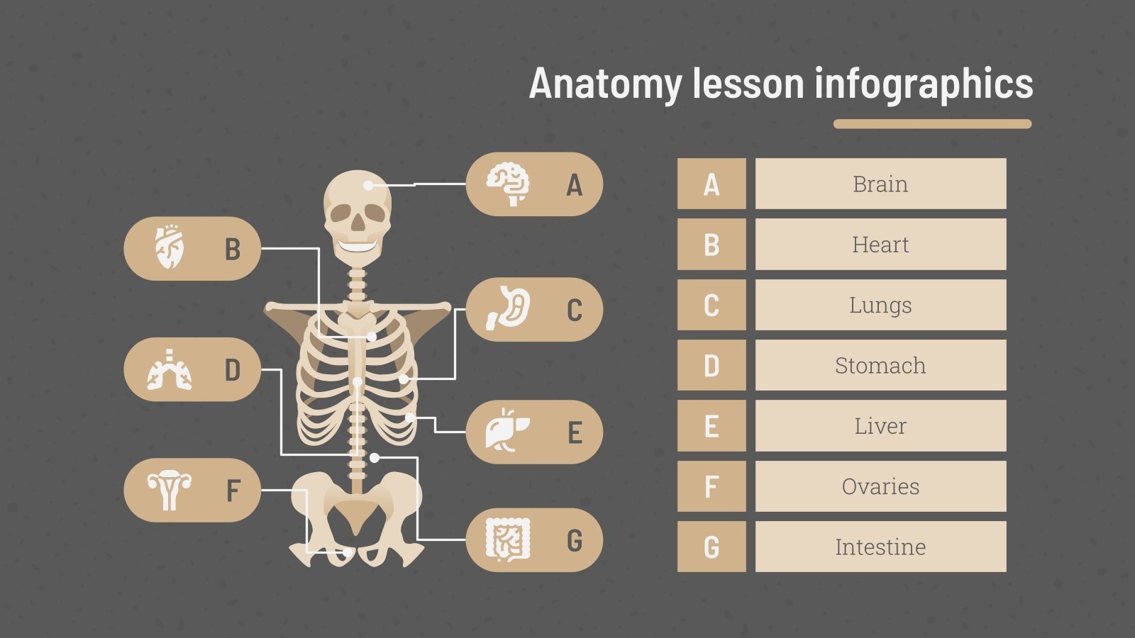 Anatomy Lesson Infographics | Google Slides & PowerPoint