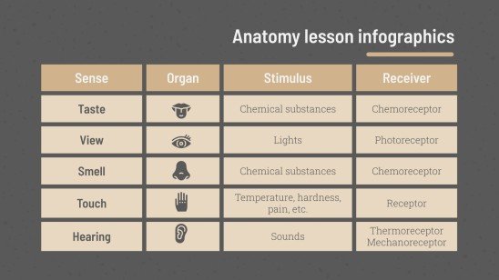 Anatomy Lesson Infographics | Google Slides & PowerPoint
