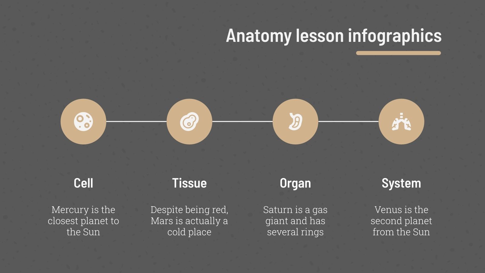 Anatomy Lesson Infographics | Google Slides & PowerPoint