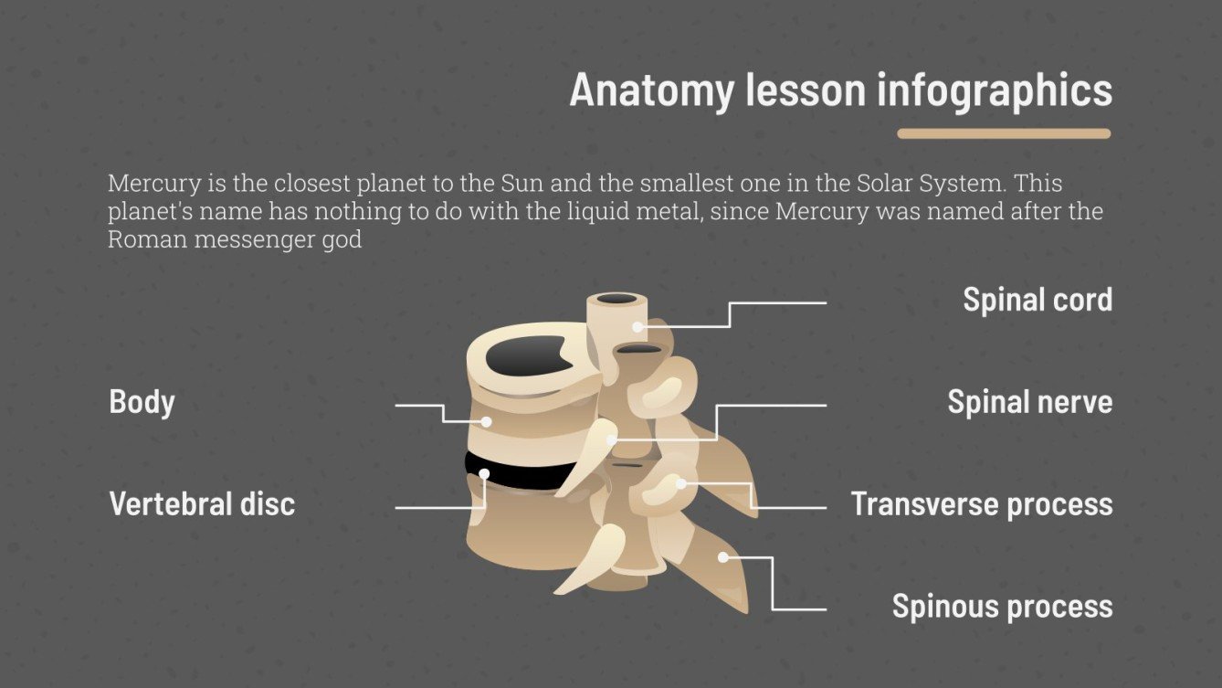 Anatomy Lesson Infographics | Google Slides & PowerPoint