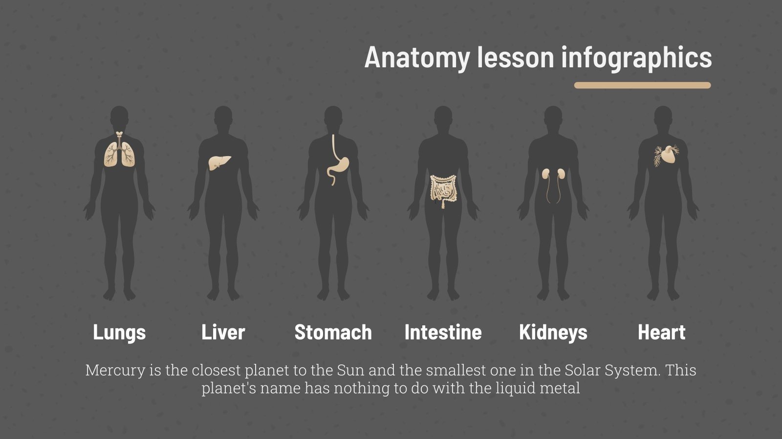 Anatomy Lesson Infographics | Google Slides & PowerPoint