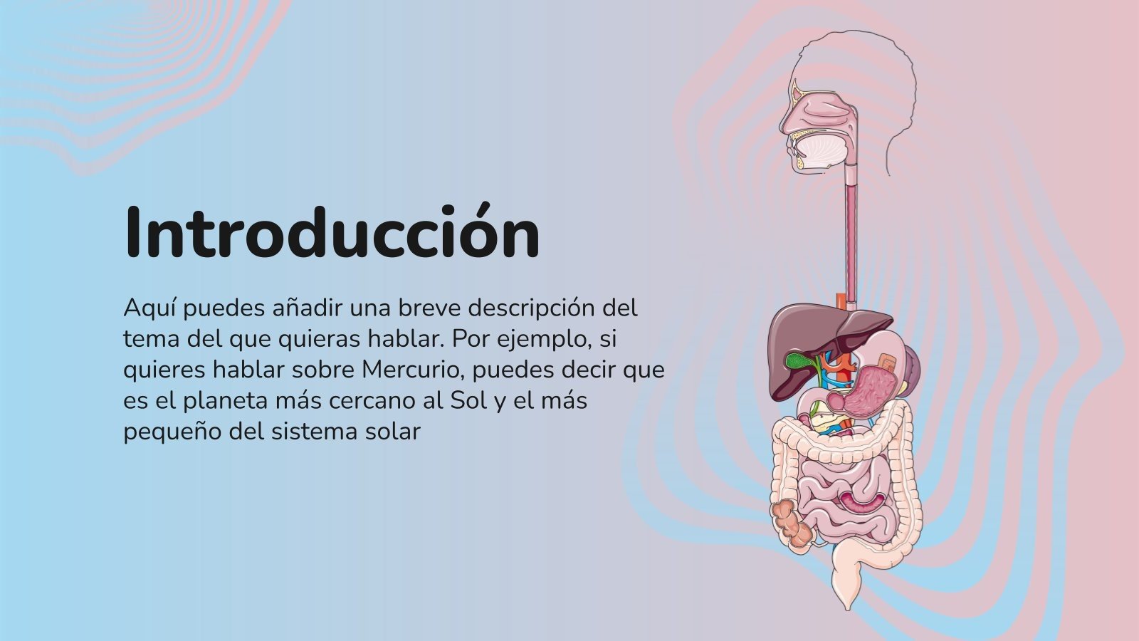 Digestive System Ulcer Case Report | Google Slides & PPT