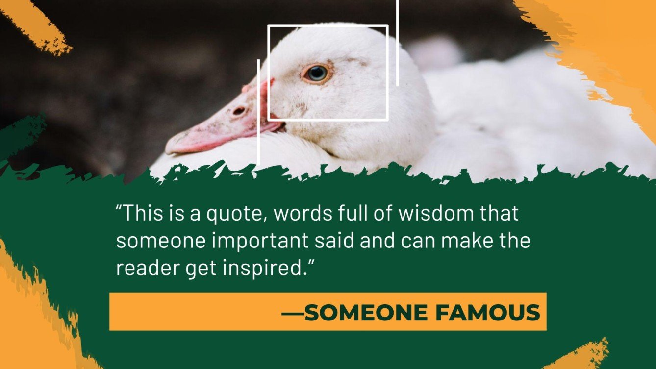 Wild Birds Recovery Center | Google Slides & PowerPoint