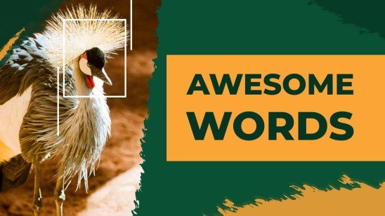 Wild Birds Recovery Center | Google Slides & PowerPoint