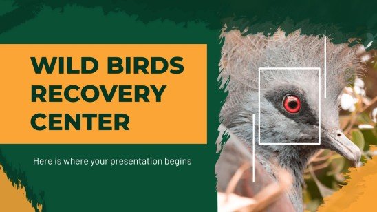 Page 4 | Free bird-based Google Slides & PowerPoint Templates