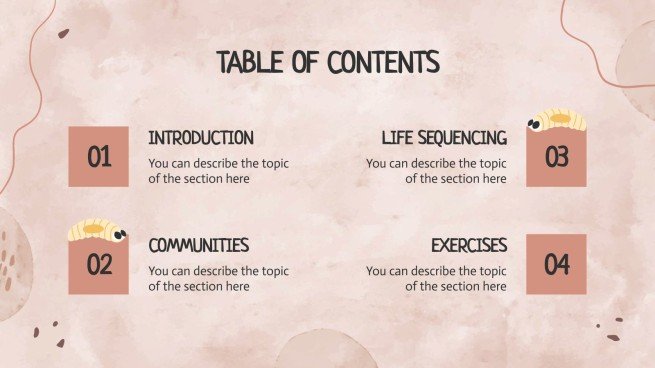 Ant Life Cycle for Pre-K | Google Slides & PowerPoint