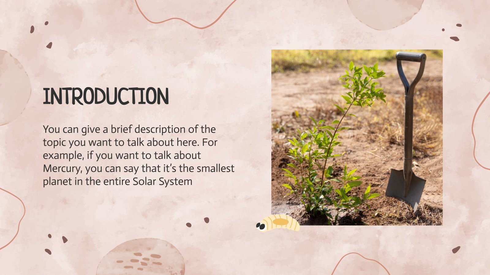 Ant Life Cycle for Pre-K | Google Slides & PowerPoint