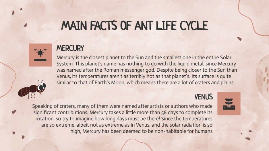 Ant Life Cycle for Pre-K | Google Slides & PowerPoint