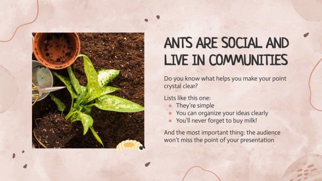Ant Life Cycle for Pre-K | Google Slides & PowerPoint