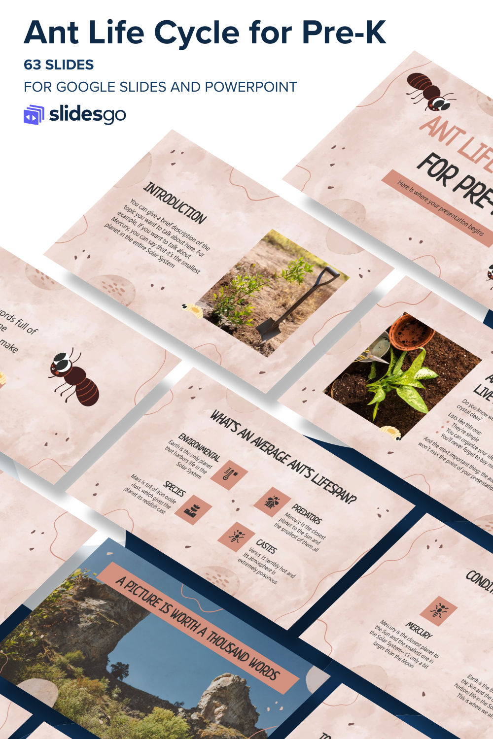 Ant Life Cycle for Pre-K | Google Slides & PowerPoint