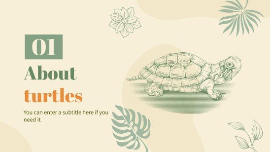 Science Subject for Elementary: Turtles | Google Slides