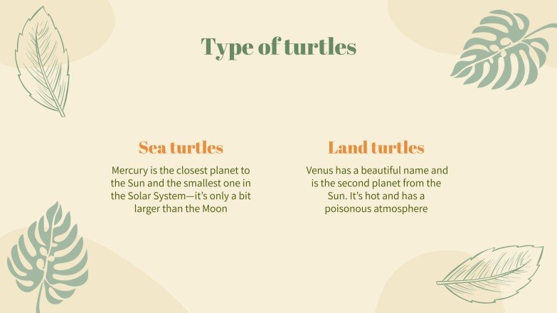 Science Subject for Elementary: Turtles | Google Slides