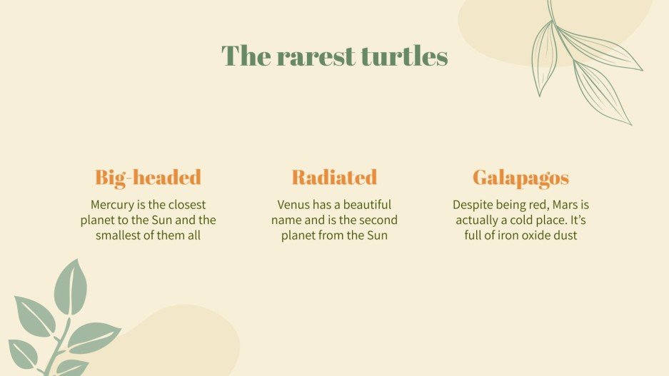 Science Subject for Elementary: Turtles | Google Slides