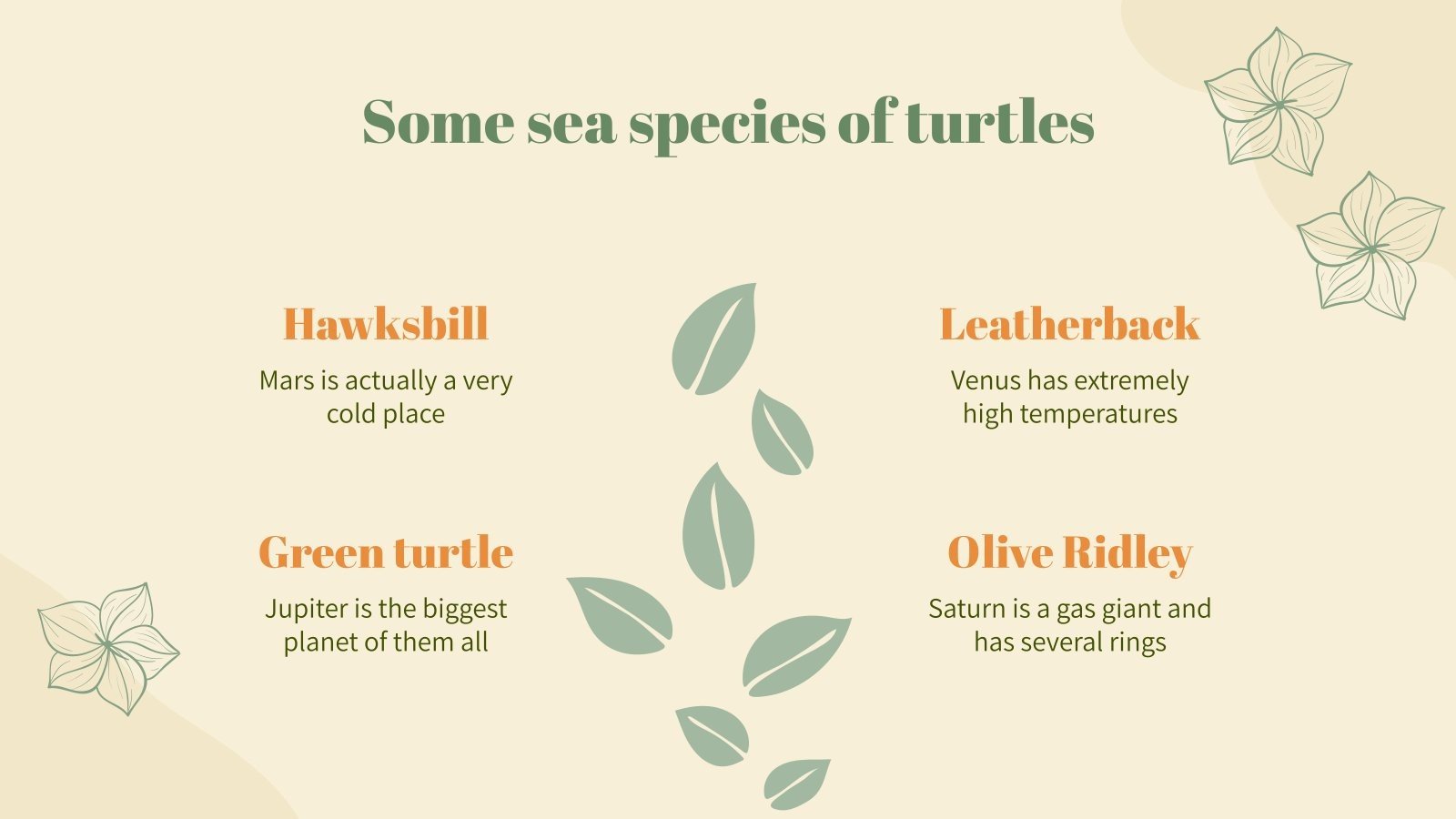 Science Subject for Elementary: Turtles | Google Slides