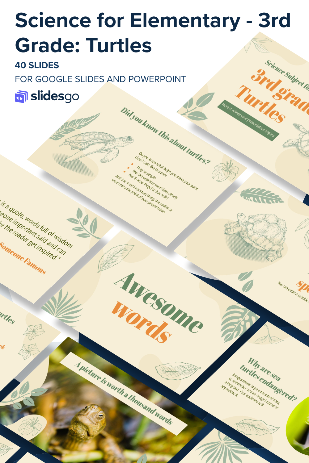 Science Subject for Elementary: Turtles | Google Slides