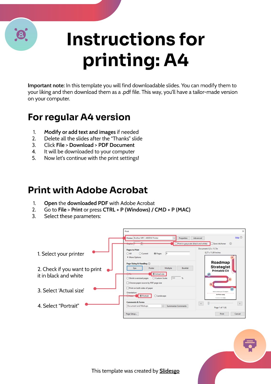Roadmap Strategist Printable CV