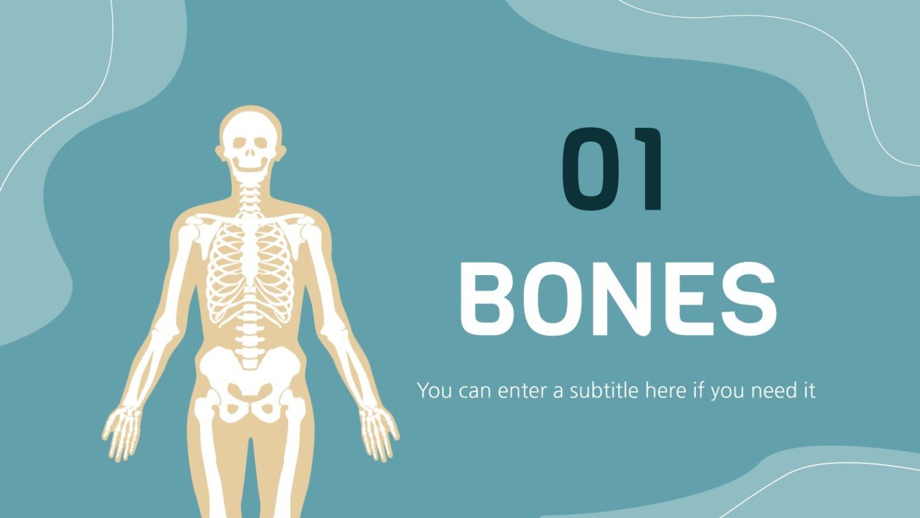 Science Project: Human Anatomy | Google Slides & PPT