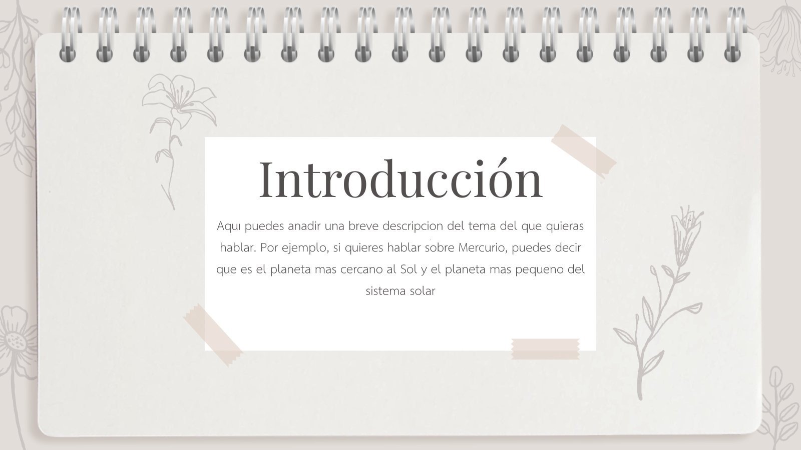 Chilean Medical Breakthroughs Notebook | Google Slides & PPT