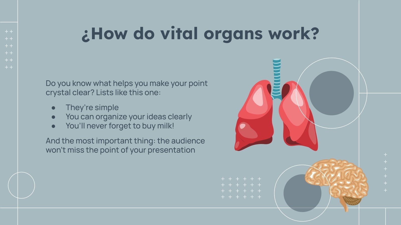 Science Subject for High School: Vital Body Organs