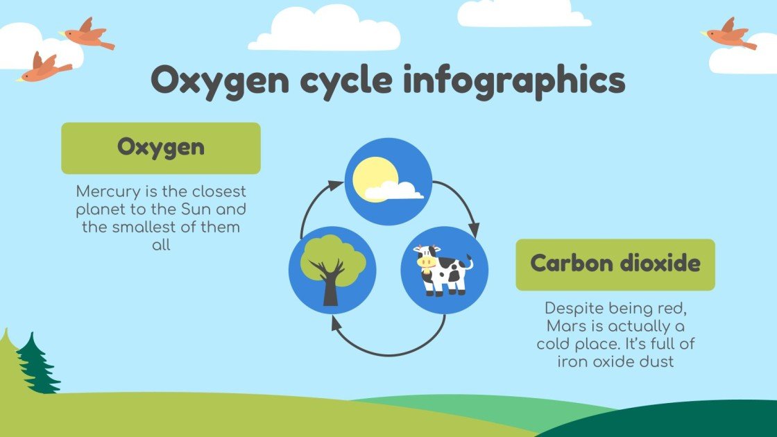 Science for 3rd Grade: Oxygen Cycle Infographics