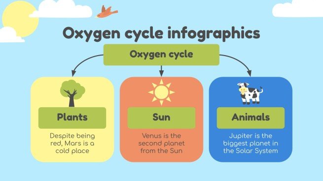 Science for 3rd Grade: Oxygen Cycle Infographics
